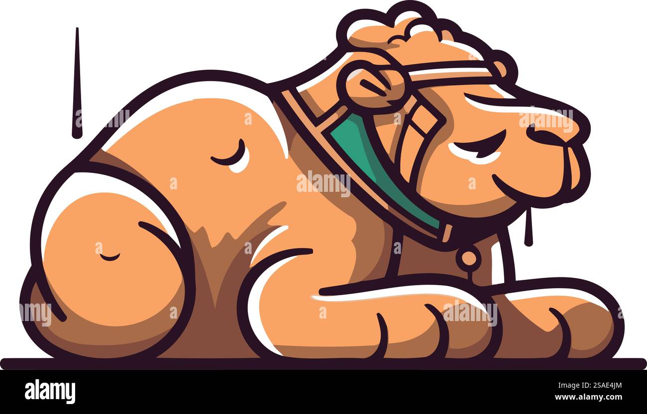 Camel sleeping hi-res stock photography and images - Alamy