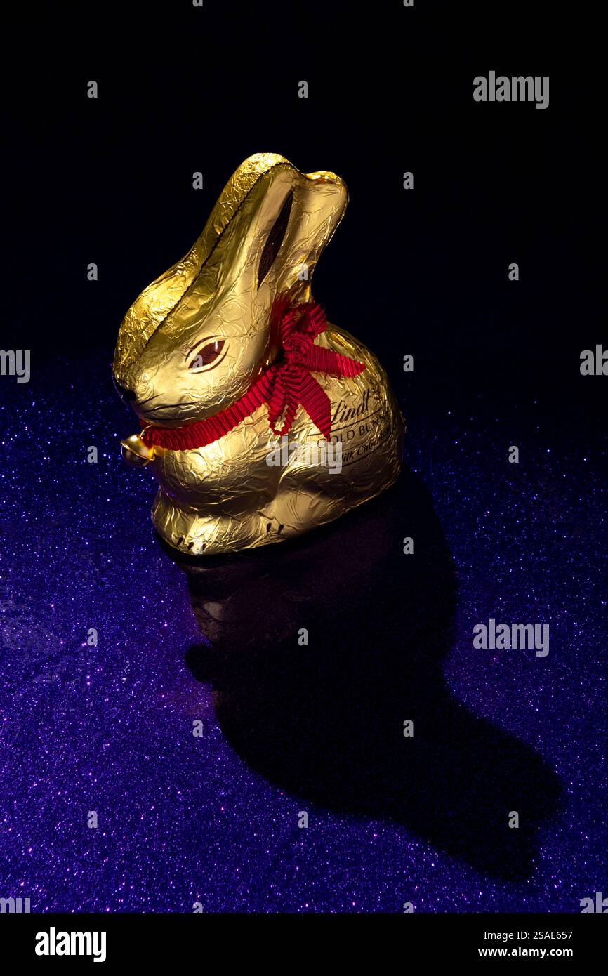 Chocolate easter bunny gold with dark blue glitter background Stock ...