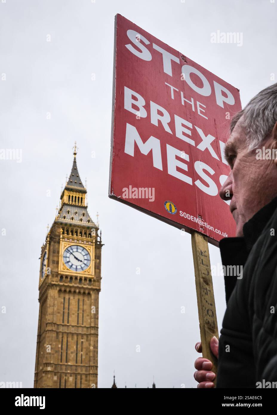 London, UK. 29th Jan, 2025. Pro-EU, anti-Brexit activits and protesters ...