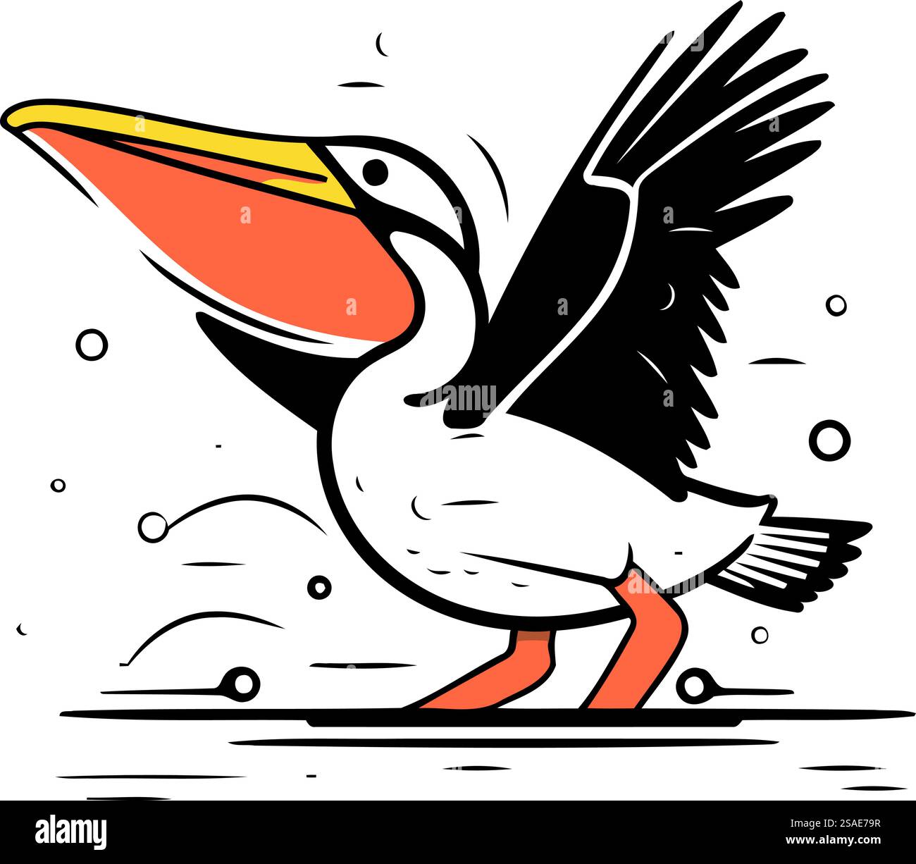 Pelican vector illustration. Isolated on a white background Stock ...