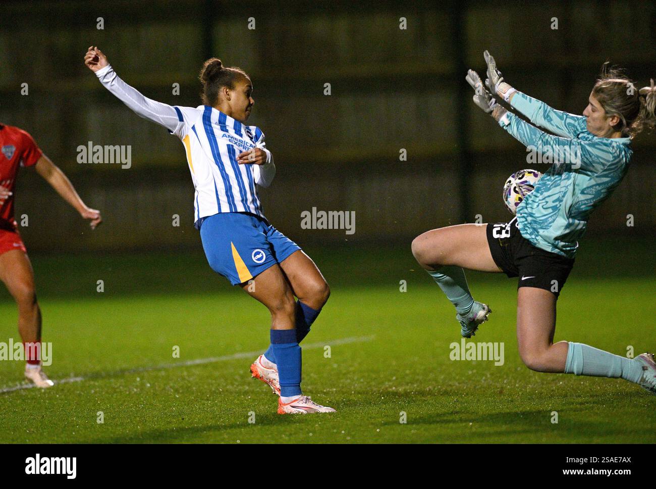 Anna king 2025 hi-res stock photography and images - Alamy