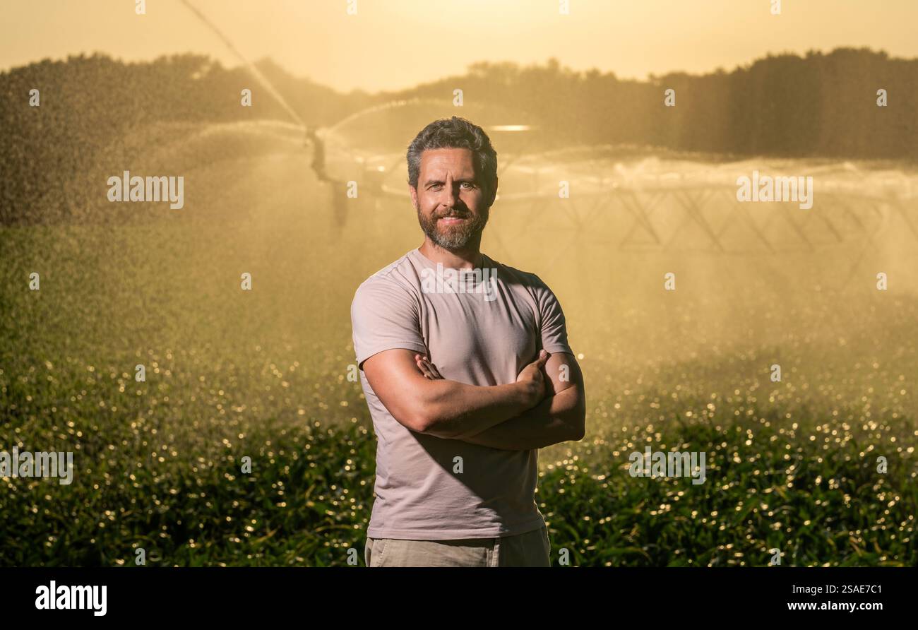 Drip irrigation system. Crop irrigation on sunset. Agriculture and ...