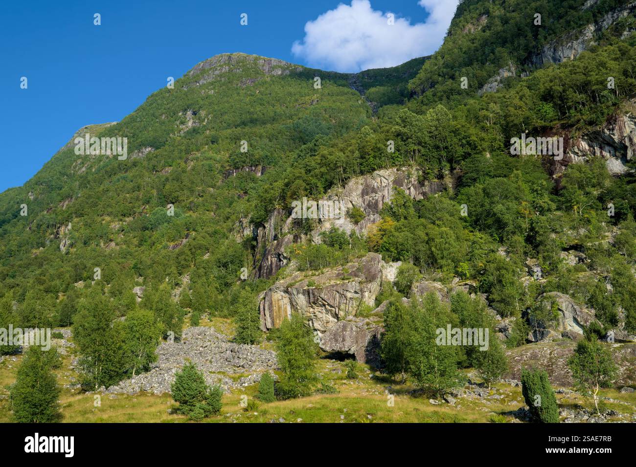 Lush green hillside in Norway, featuring rugged rock formations and ...