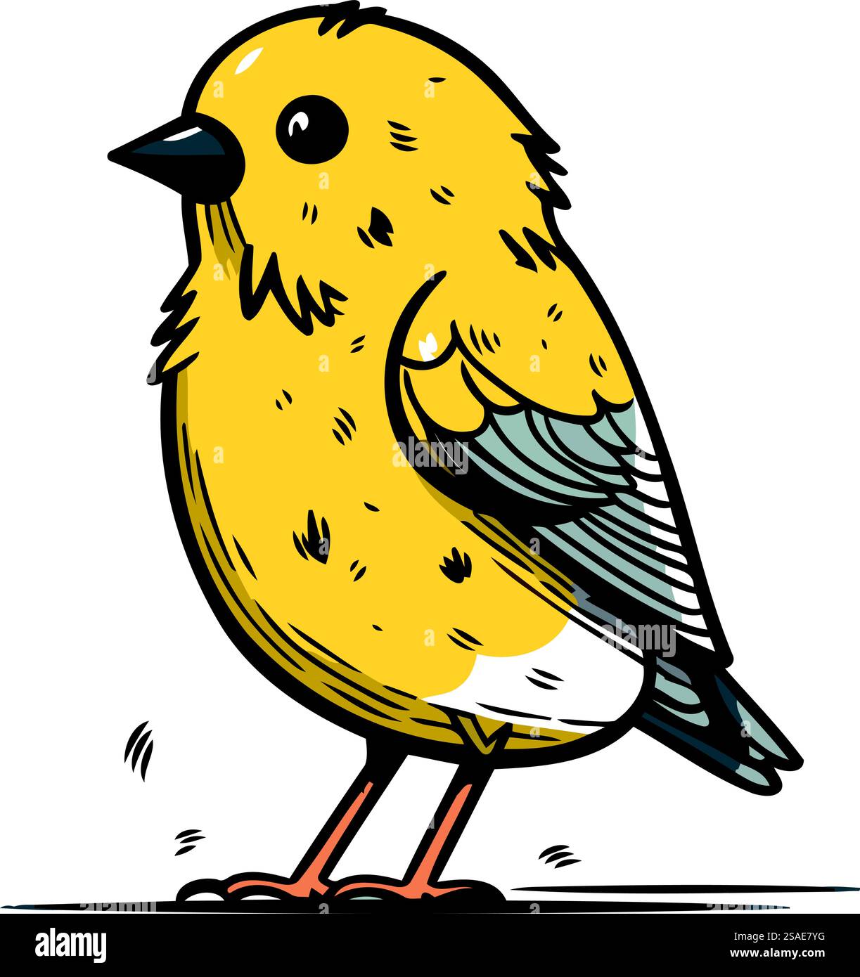 Vector illustration of a cute little goldfinch on white background ...