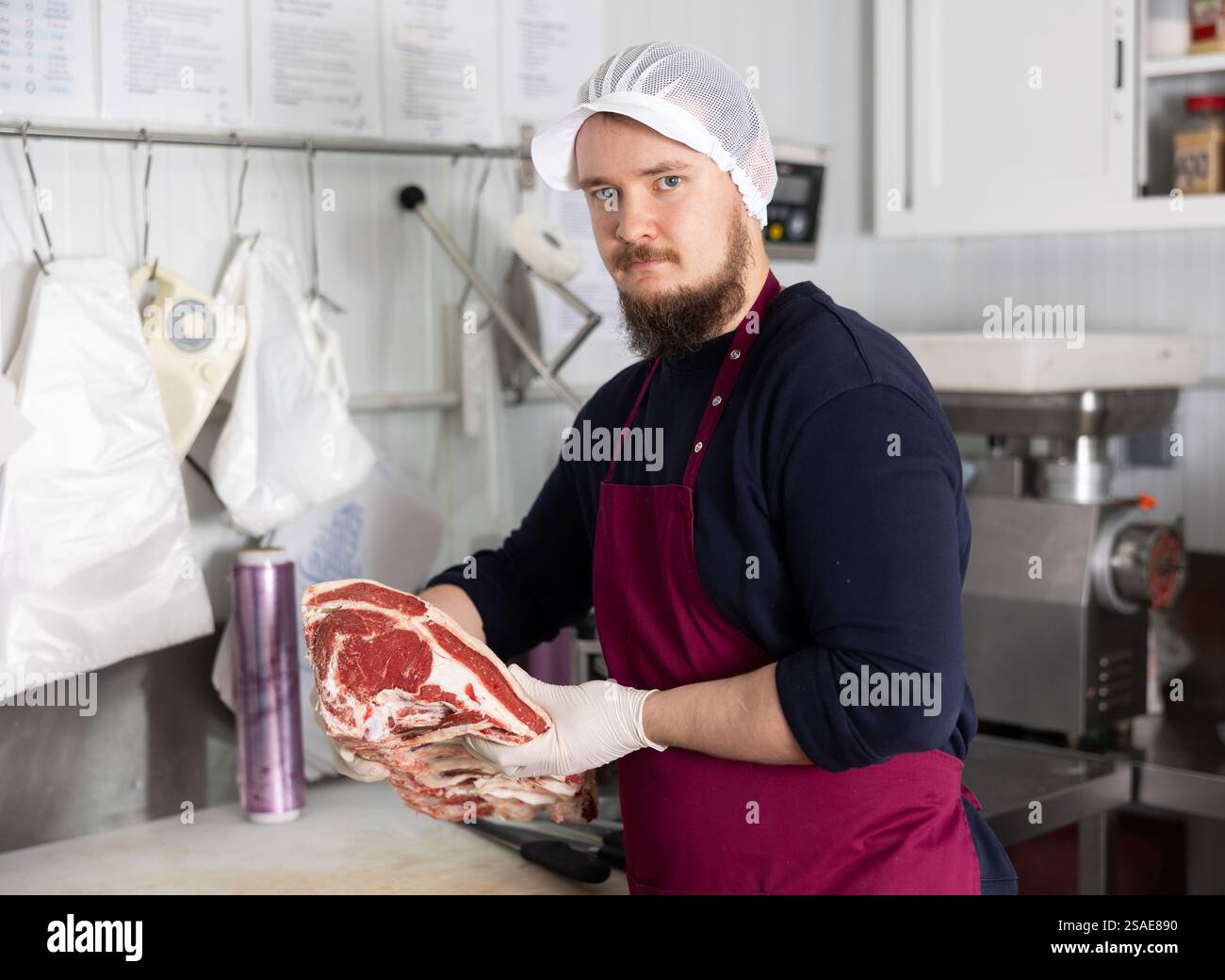 Butcher holding slab of beef rib steaks in shop processing room Stock ...