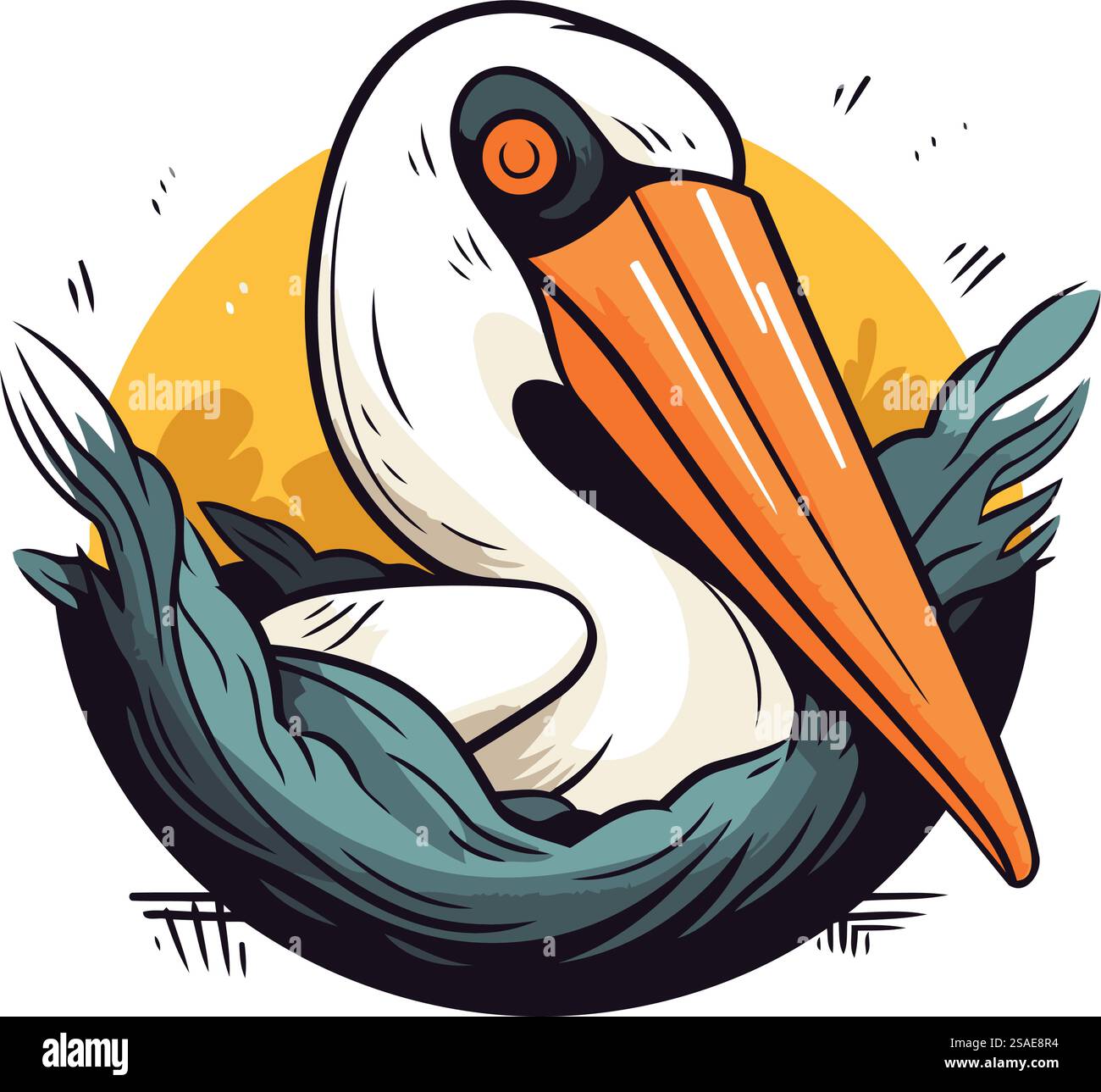 Pelican. Hand drawn vector illustration isolated on white background ...