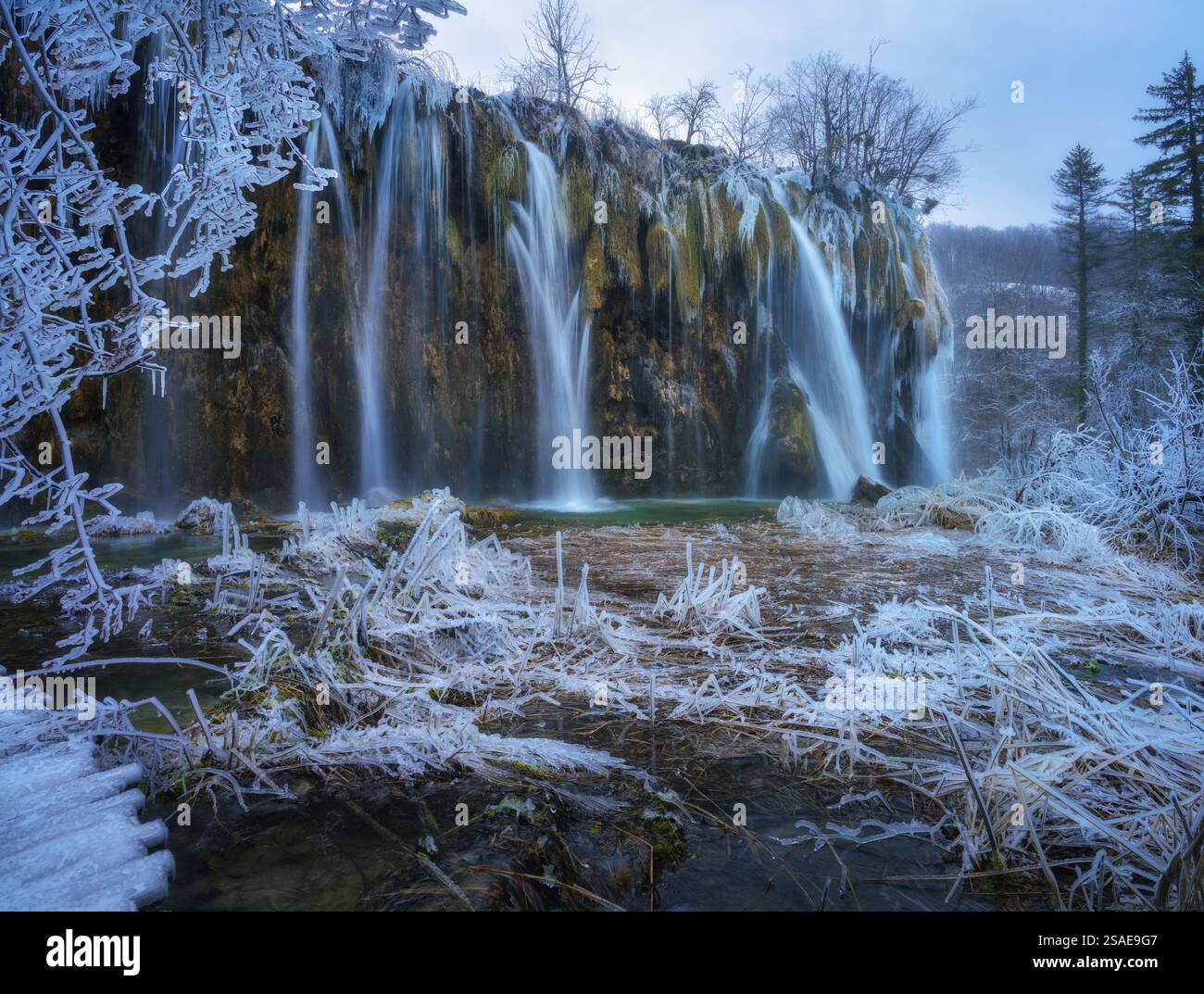 Winter waterfall, lake, frozen trees with icicles in cold evening Stock ...