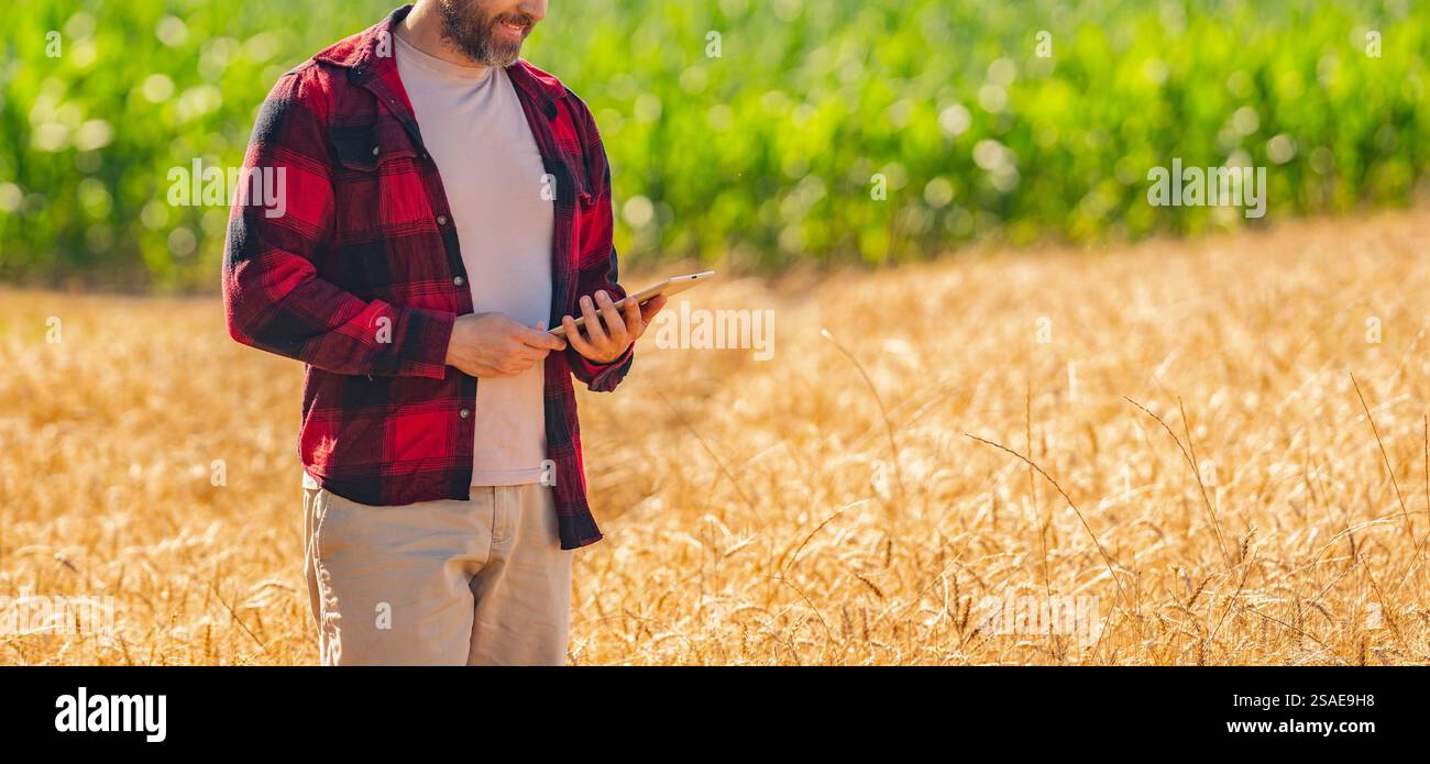 Crop cultivation. Agriculture farm. Farm man at wheat field. Crop ...