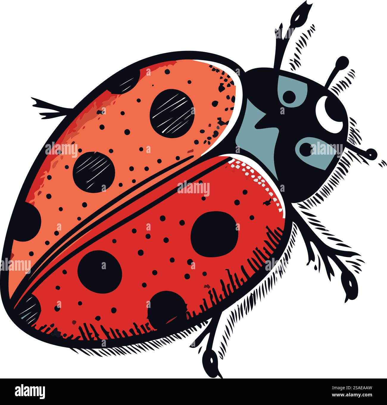 Ladybug isolated on white background. Hand drawn vector illustration in ...