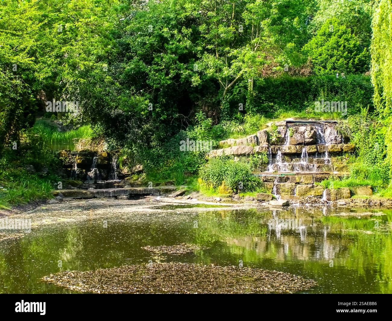 Waterfall in Hanley Park 2 Stock Photo - Alamy