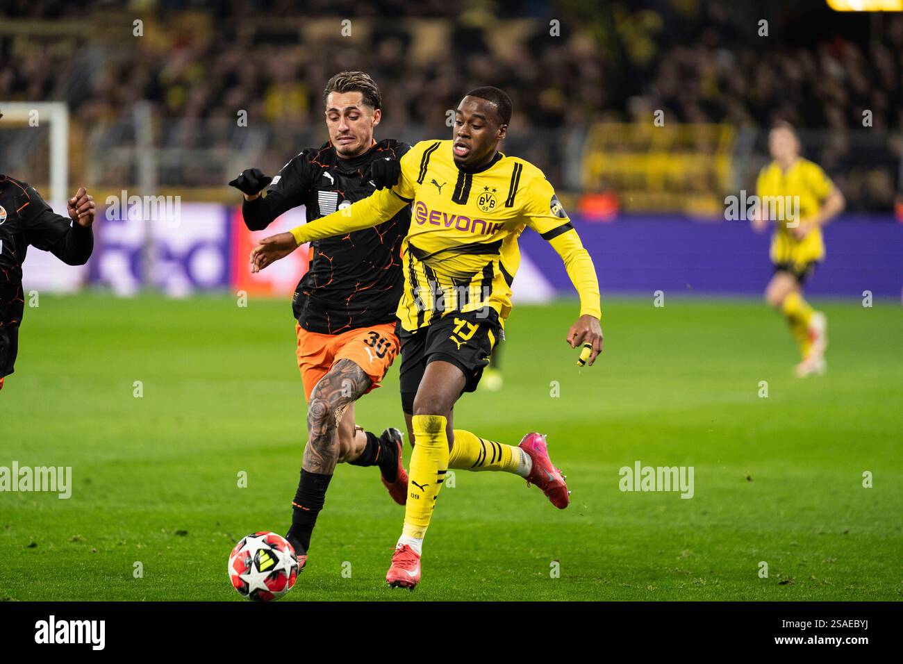 29.01.2025, Signal Iduna Park, Dortmund, GER, UEFA Champions League, 8. Spieltag - Borussia ...