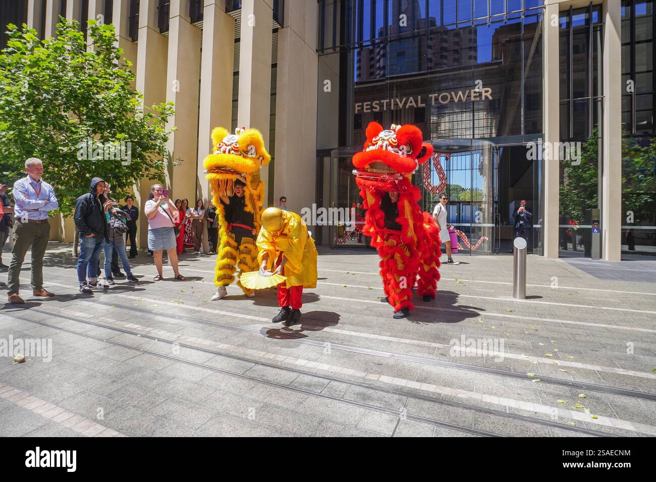 Adelaide, Australia 29 January 2025. A performance by lion dancers in ...