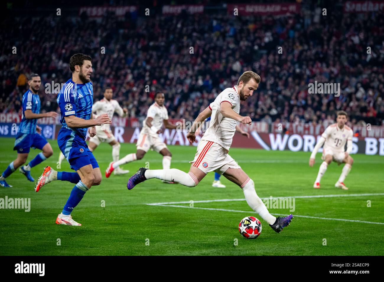 Harry Kane (FC Bayern Muenchen, #09) am Ball, GER, FC Bayern Muenchen vs. SK Slovan Bratislava ...