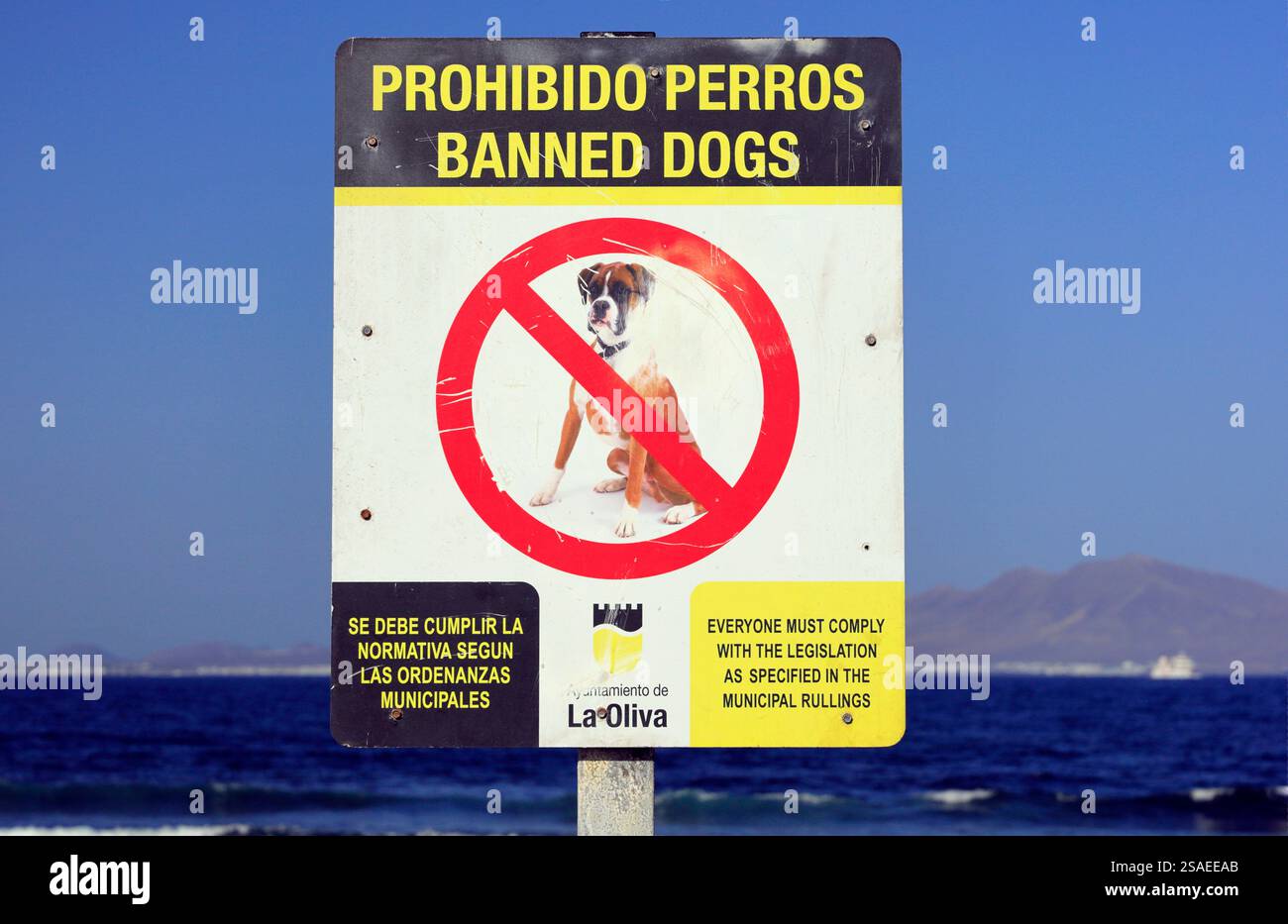 Dogs banned from beach sign - prohibido perros - Corralejo ...