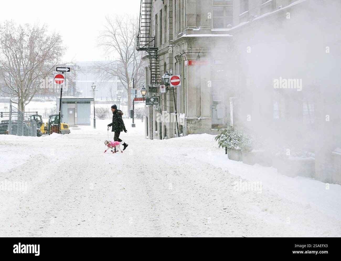 Montreal, Quebec, Canada. 29th Jan, 2025. Views from the streets in ...