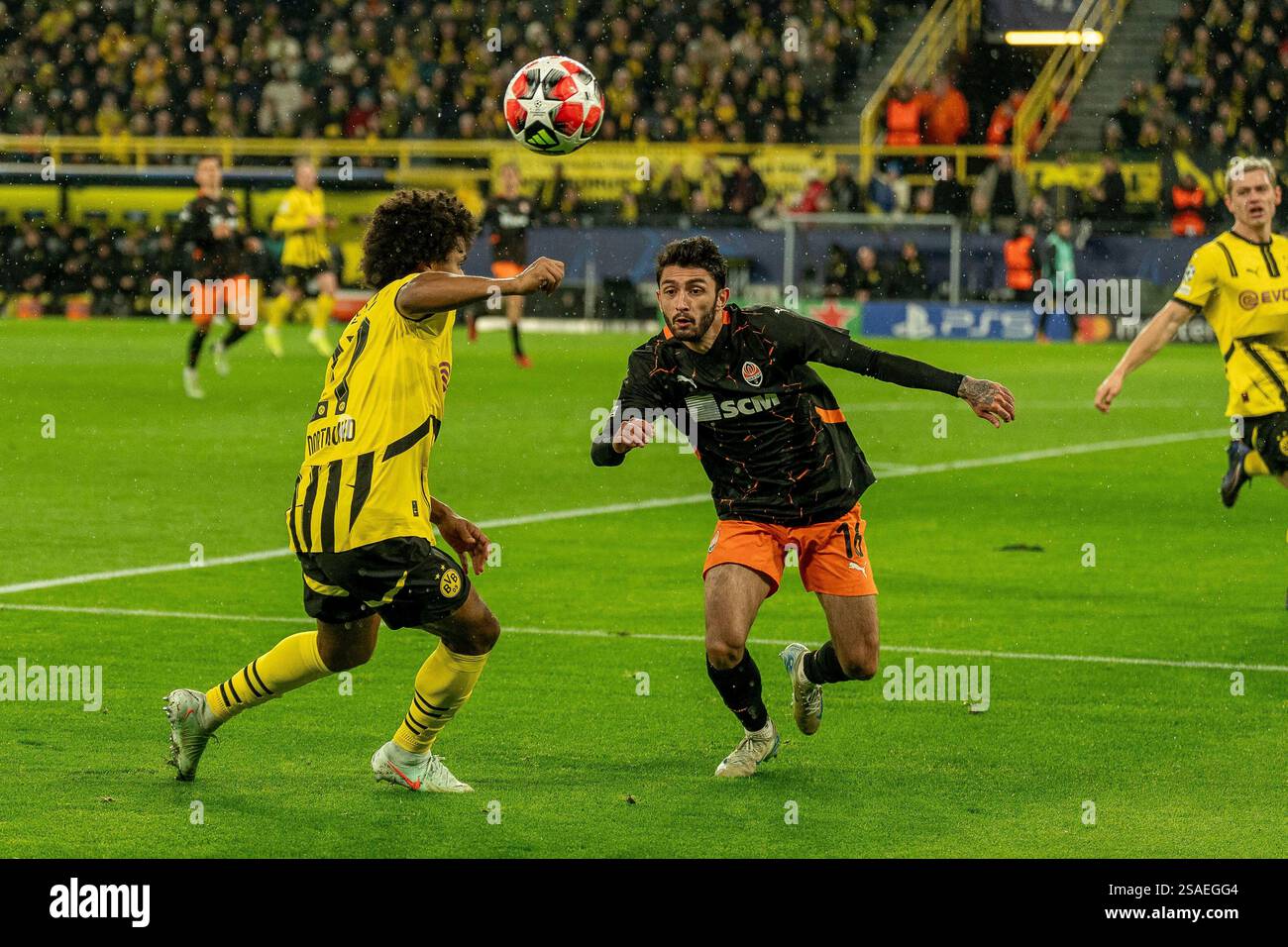 Dortmund, Deutschland. 29th Jan, 2025. Karim Adeyemi (Borussia Dortmund 09, #27) gegen Irakli ...