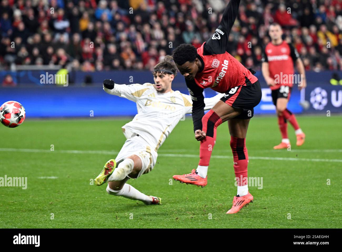 Leverkusen, Germany. 29th Jan, 2025. Soccer: Champions League, Bayer Leverkusen - Sparta Prague ...