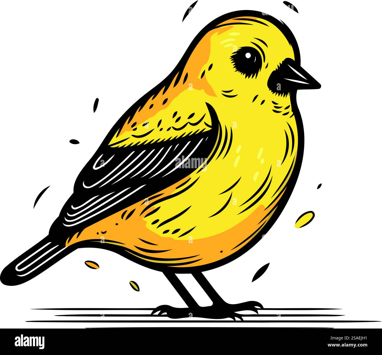 American Goldfinch. Hand drawn vector illustration isolated on white ...