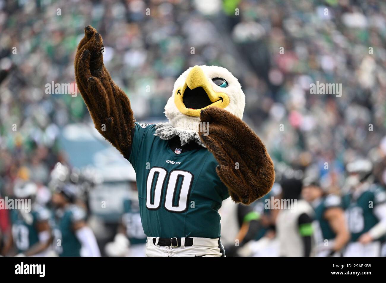 January 26 2025 Philadelphia Pa Swoop The Philadelphia Eagles Mascot
