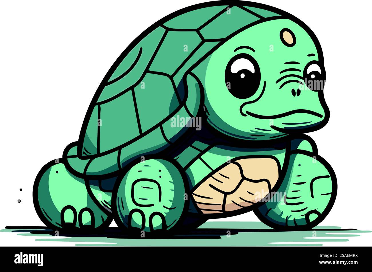 Cartoon turtle vector illustration. Isolated on a white background ...