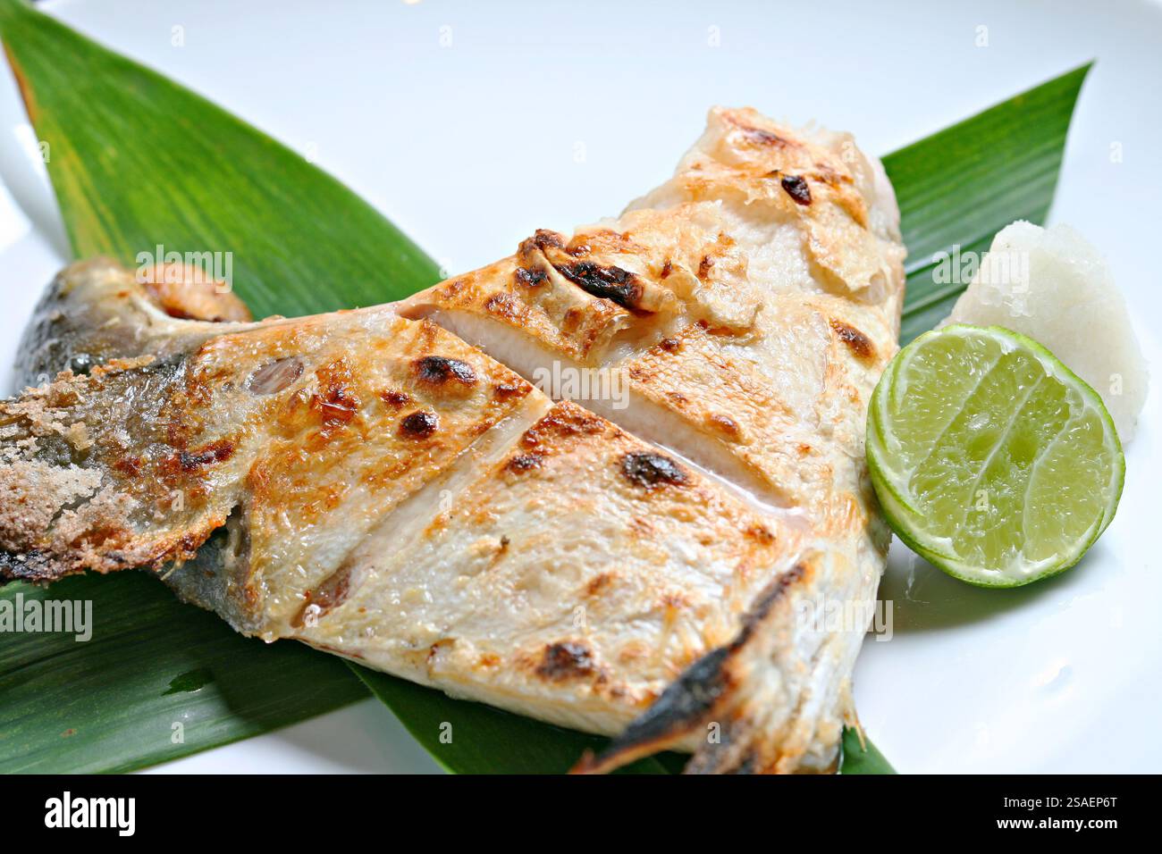 Charcoal Grilled Hamachi kama, Japanese Food Style served with lemon in ...