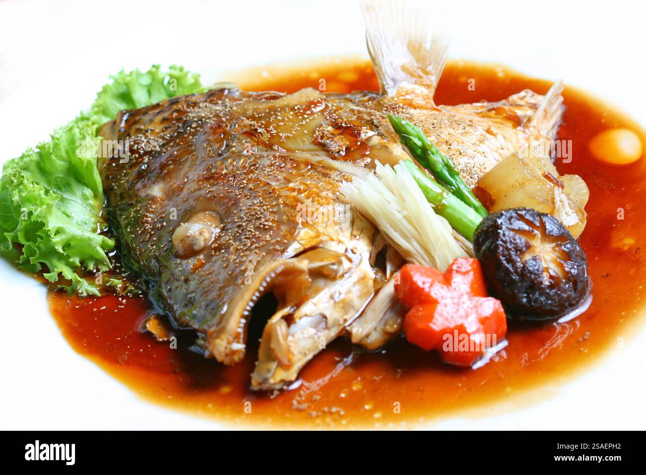 Miyabi Madai Kabutoni (Mangrove red snapper) Mangrove red snapper ...