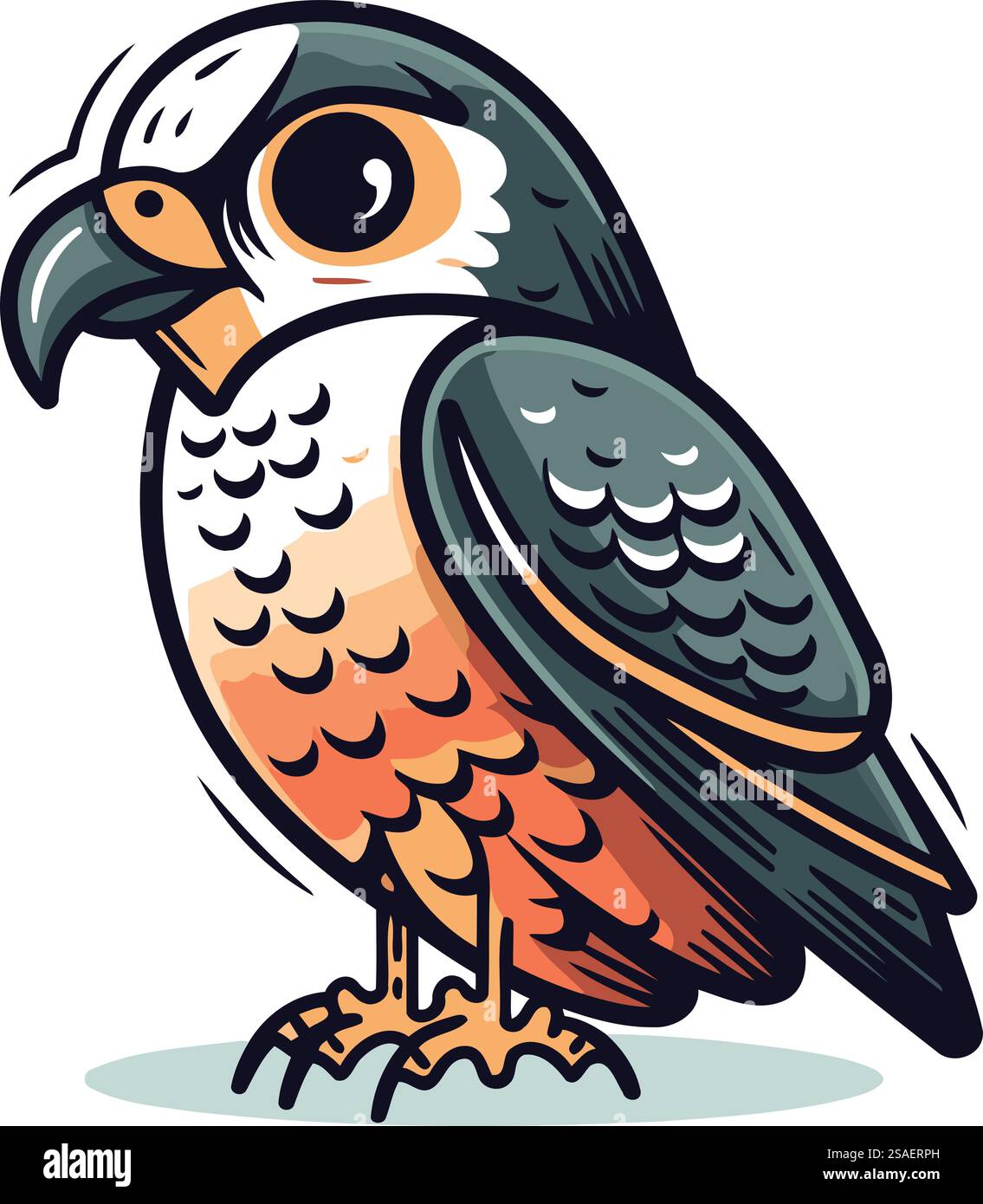 Cute cartoon hawk bird. Vector illustration isolated on white ...