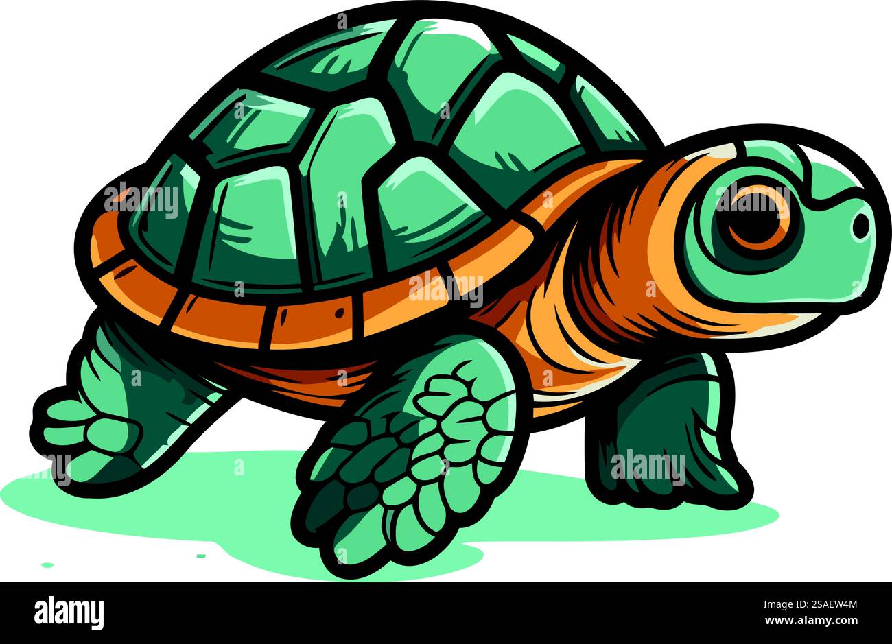 Turtle isolated on white background. Cartoon style. Vector illustration ...