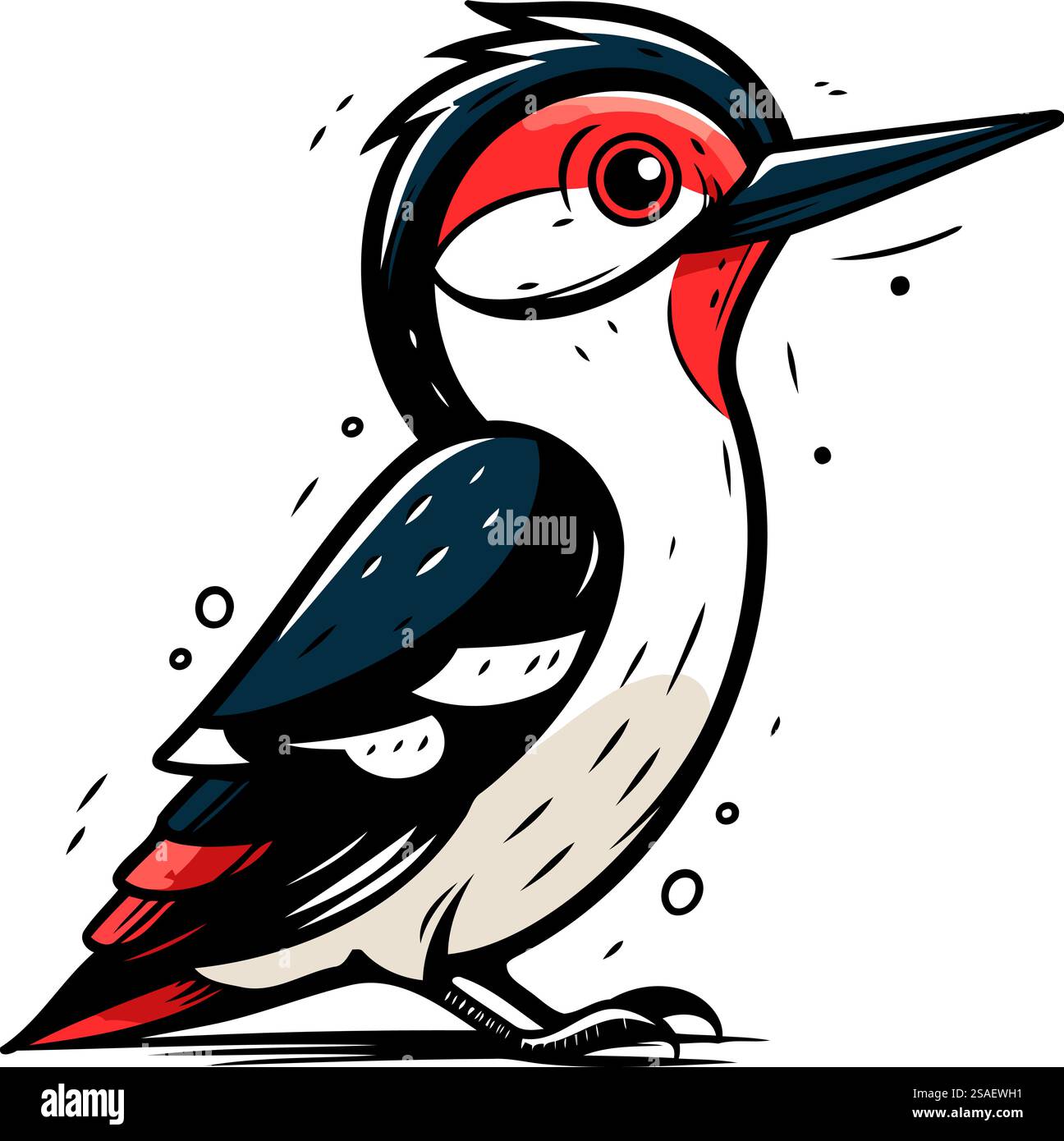 Red backed Woodpecker. Vector illustration. Isolated on white ...