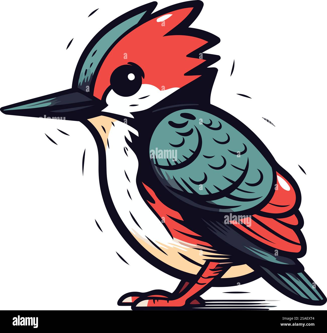 Vector image of a red backed woodpecker on a white background Stock ...