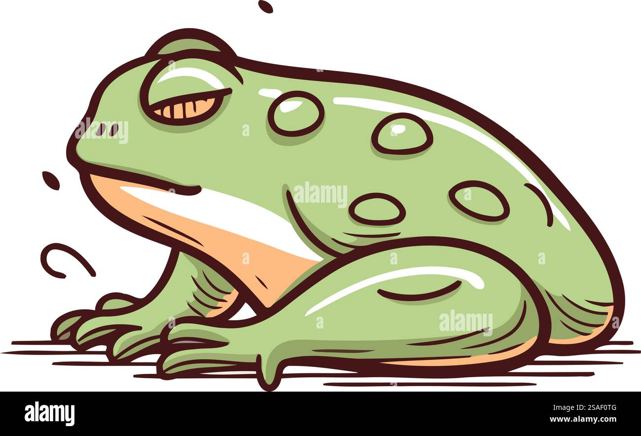 Frog cartoon isolated on white background. Vector illustration for your ...
