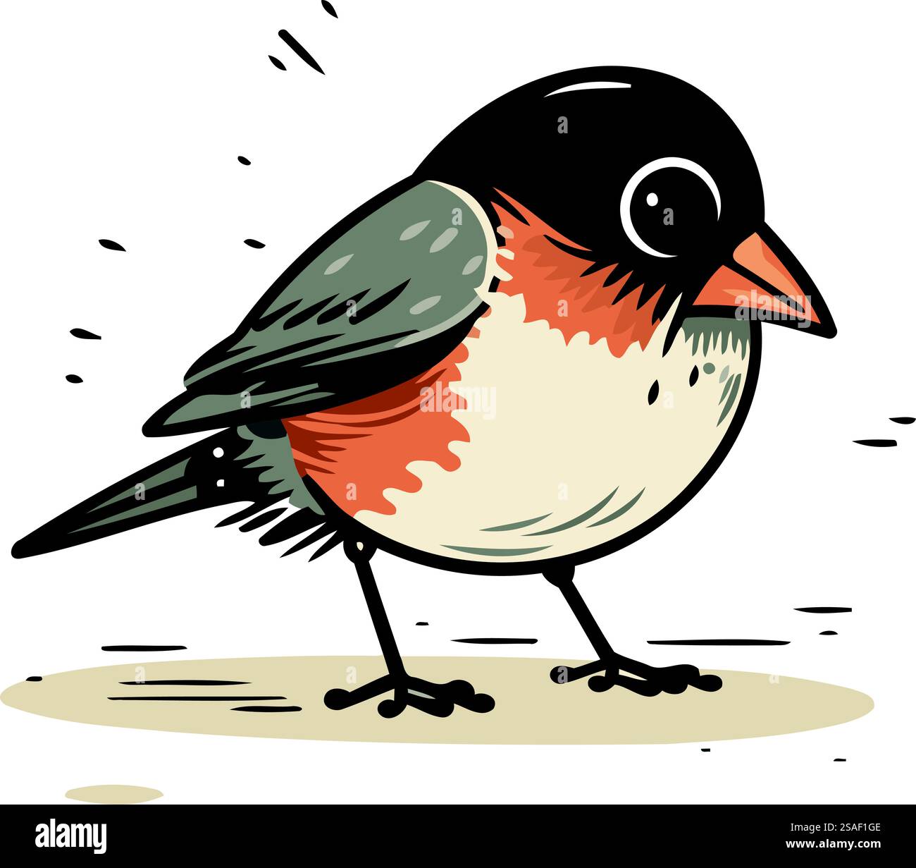 Vector hand drawn illustration of a robin. Isolated on white background ...