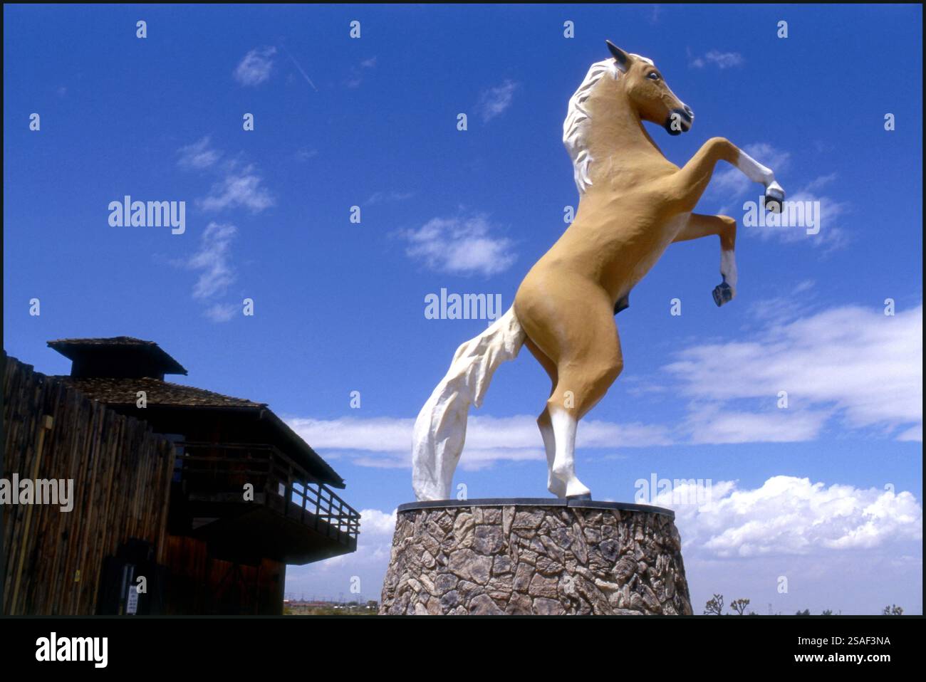 Roy rogers and trigger hi-res stock photography and images - Alamy