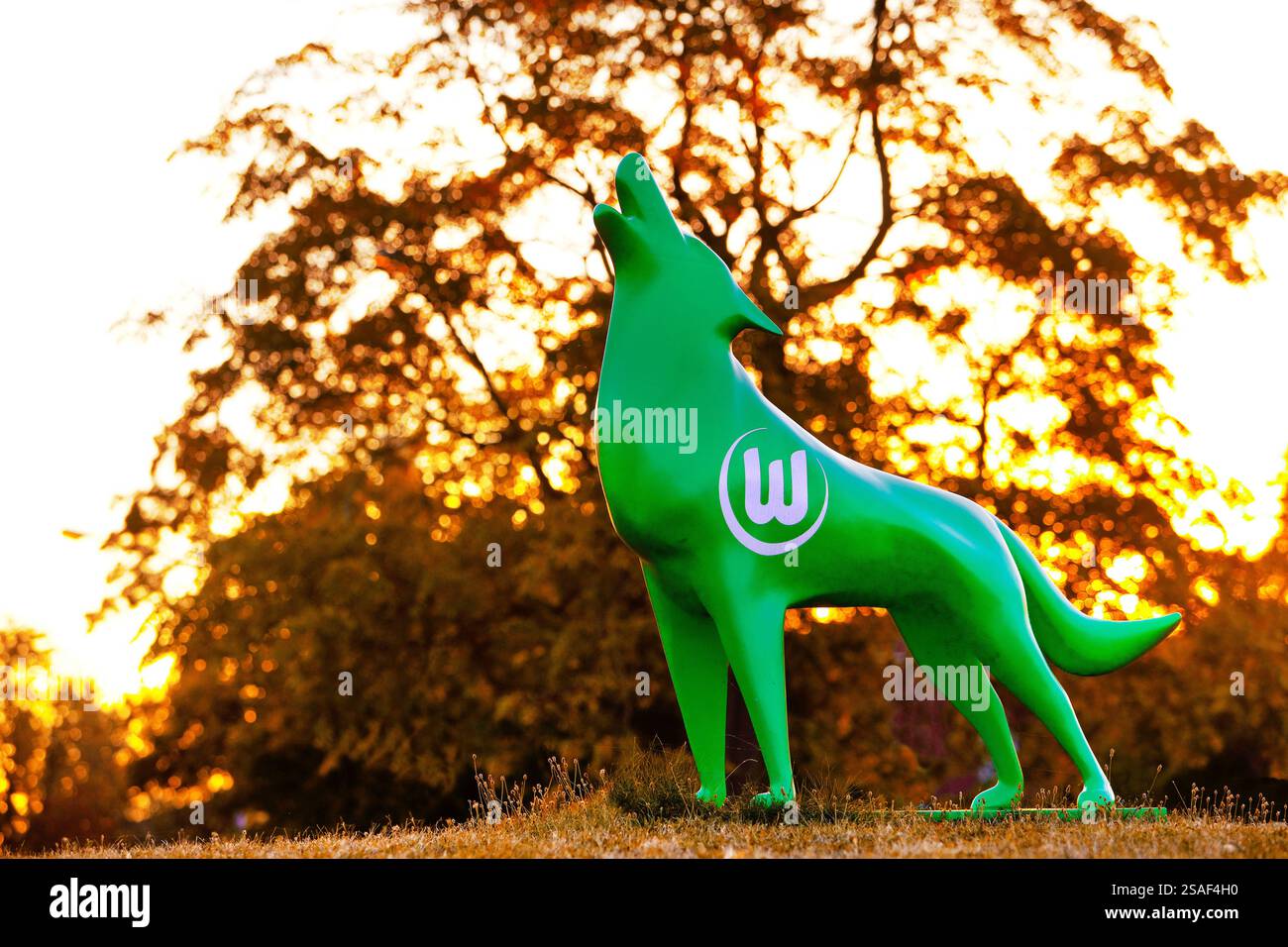 green sculpture of a howling wolf with the VfL Wolfsburg logo at sunset, heraldic animal ...