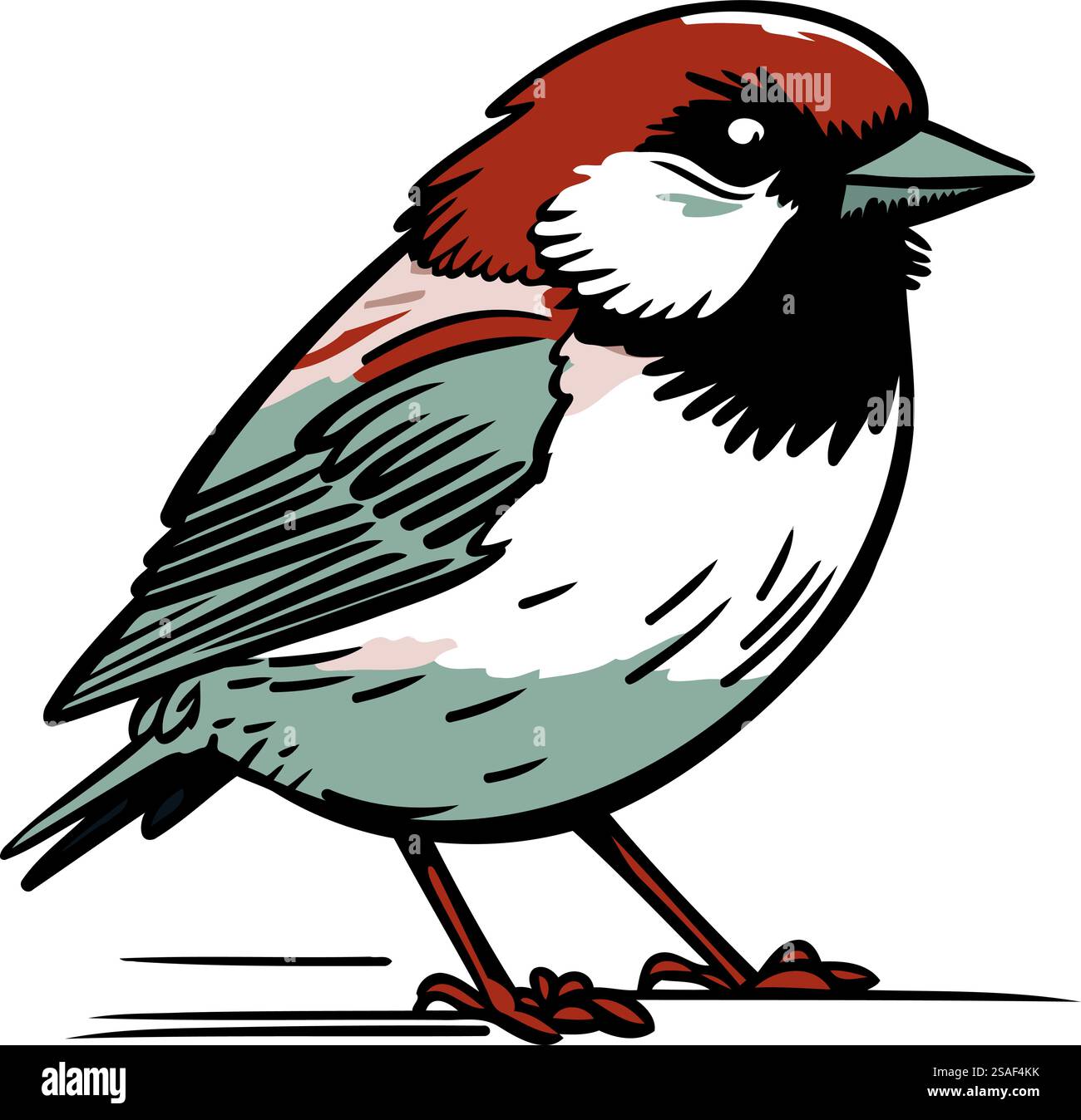 Sparrow. Hand drawn vector illustration of a sparrow Stock Vector Image ...