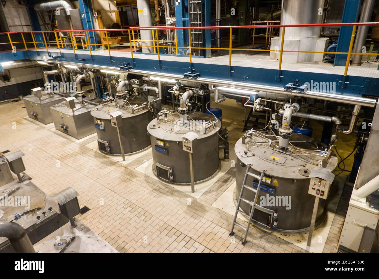 Sugar beet, Sugar-beet, Beet root, Sugar-beet root (Beta vulgaris var ...