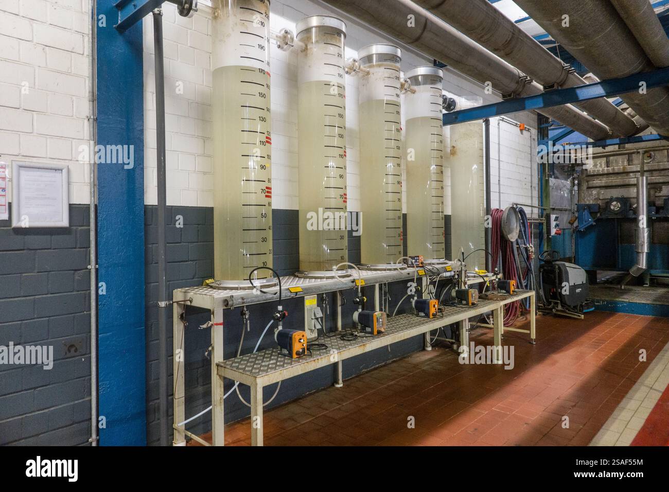 Sugar beet, Sugar-beet, Beet root, Sugar-beet root (Beta vulgaris var ...