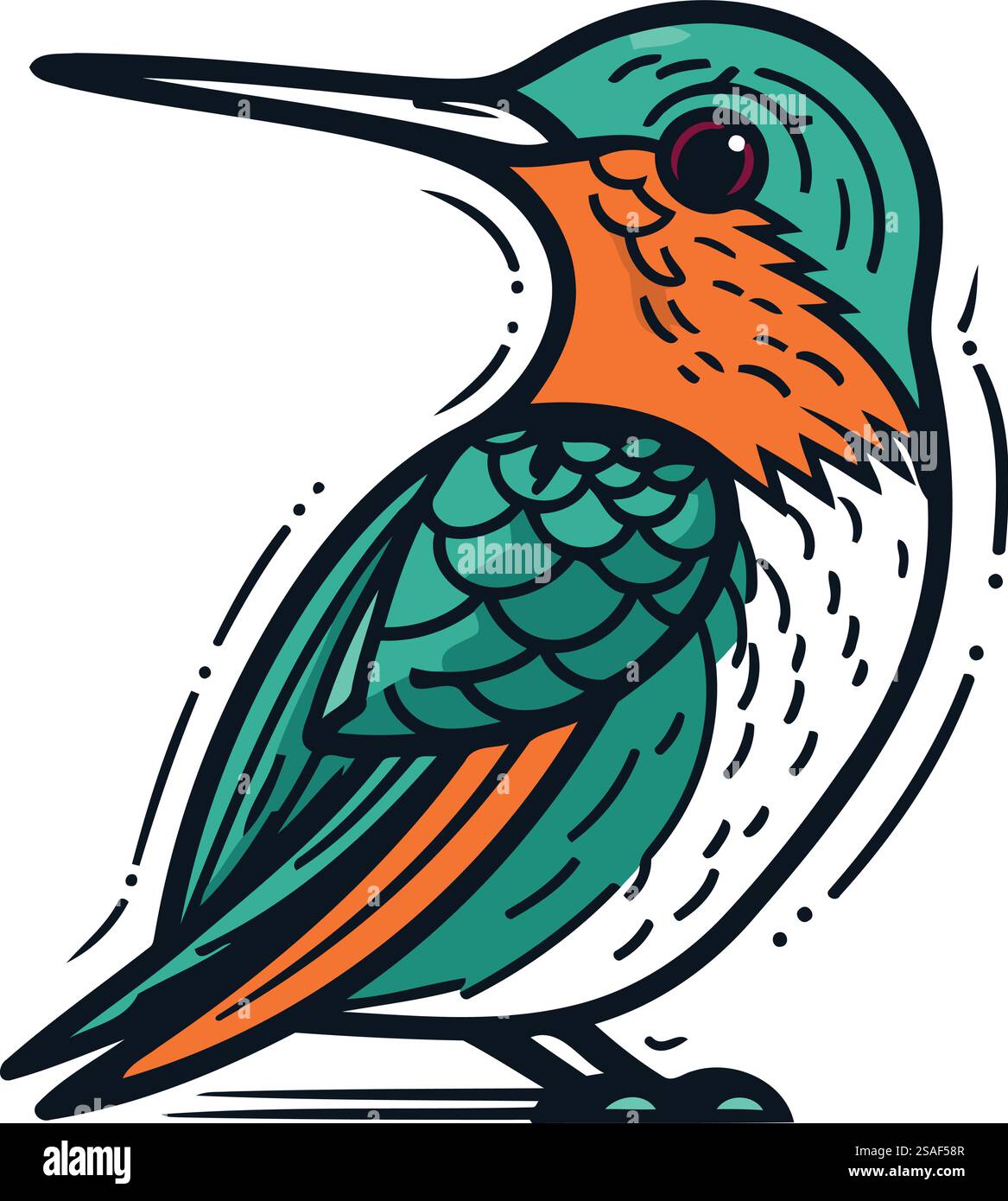 Colibri bird. Hand drawn vector illustration in cartoon style Stock ...