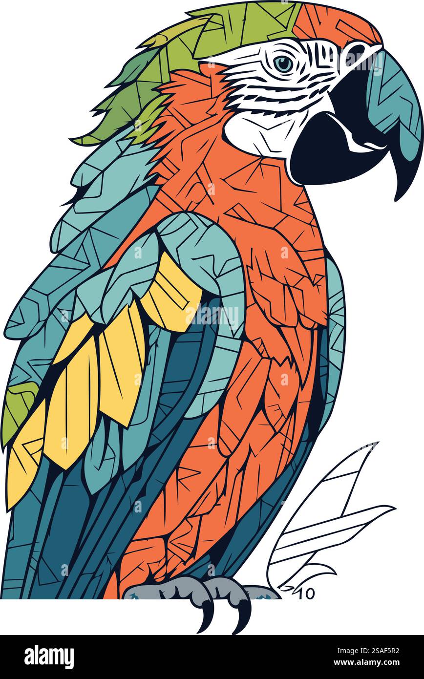 Parrot vector illustration. Hand drawn macaw parrot isolated on white ...