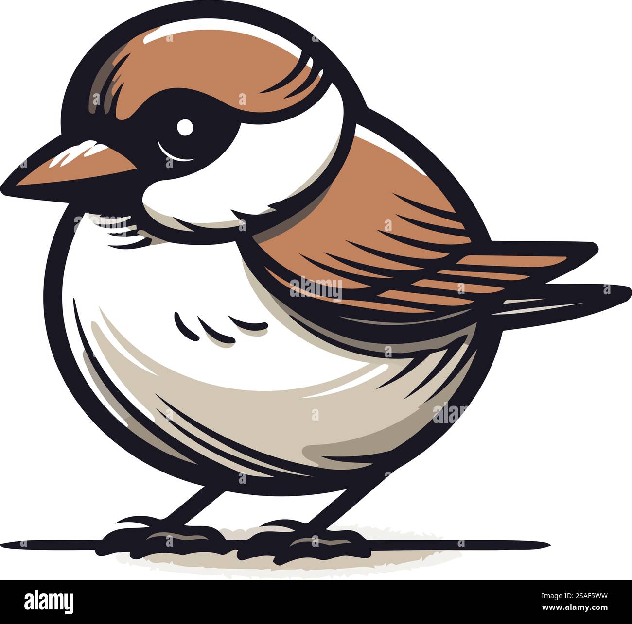 Illustration of a cute sparrow isolated on a white background Stock Vector Image & Art - Alamy