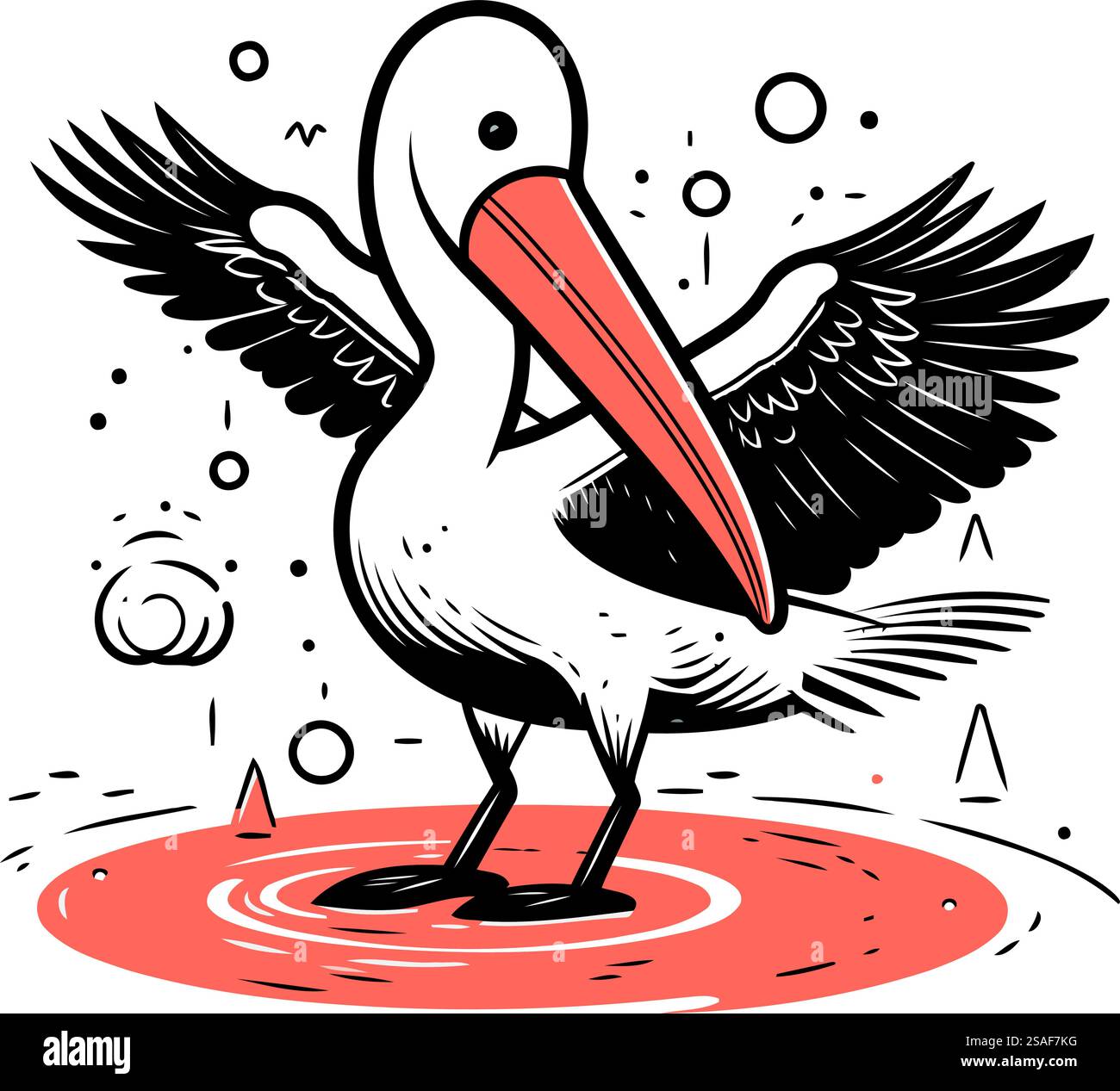 Pelican vector illustration. Hand drawn pelican isolated on white ...
