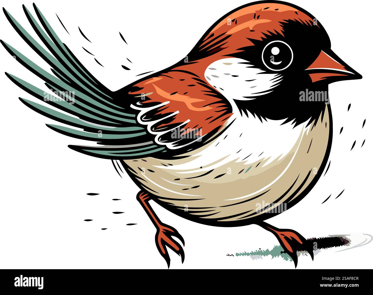 Sparrow. Hand drawn vector illustration. Isolated on white background ...