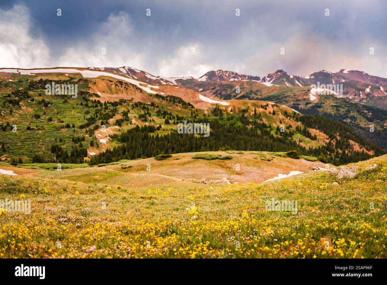 Spring flowers, snow, and wildfire smoke on a Spring day at Loveland ...