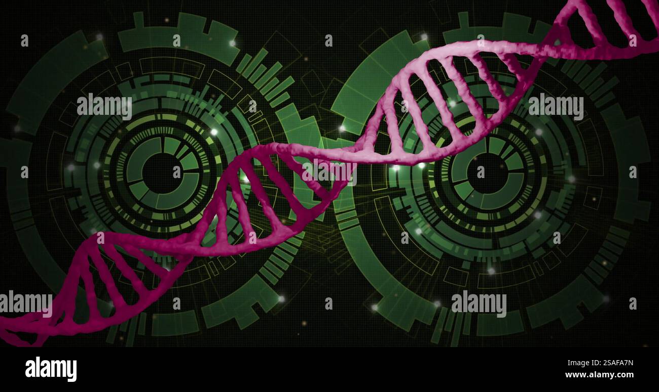 DNA strand image over green digital interface background Stock Photo ...