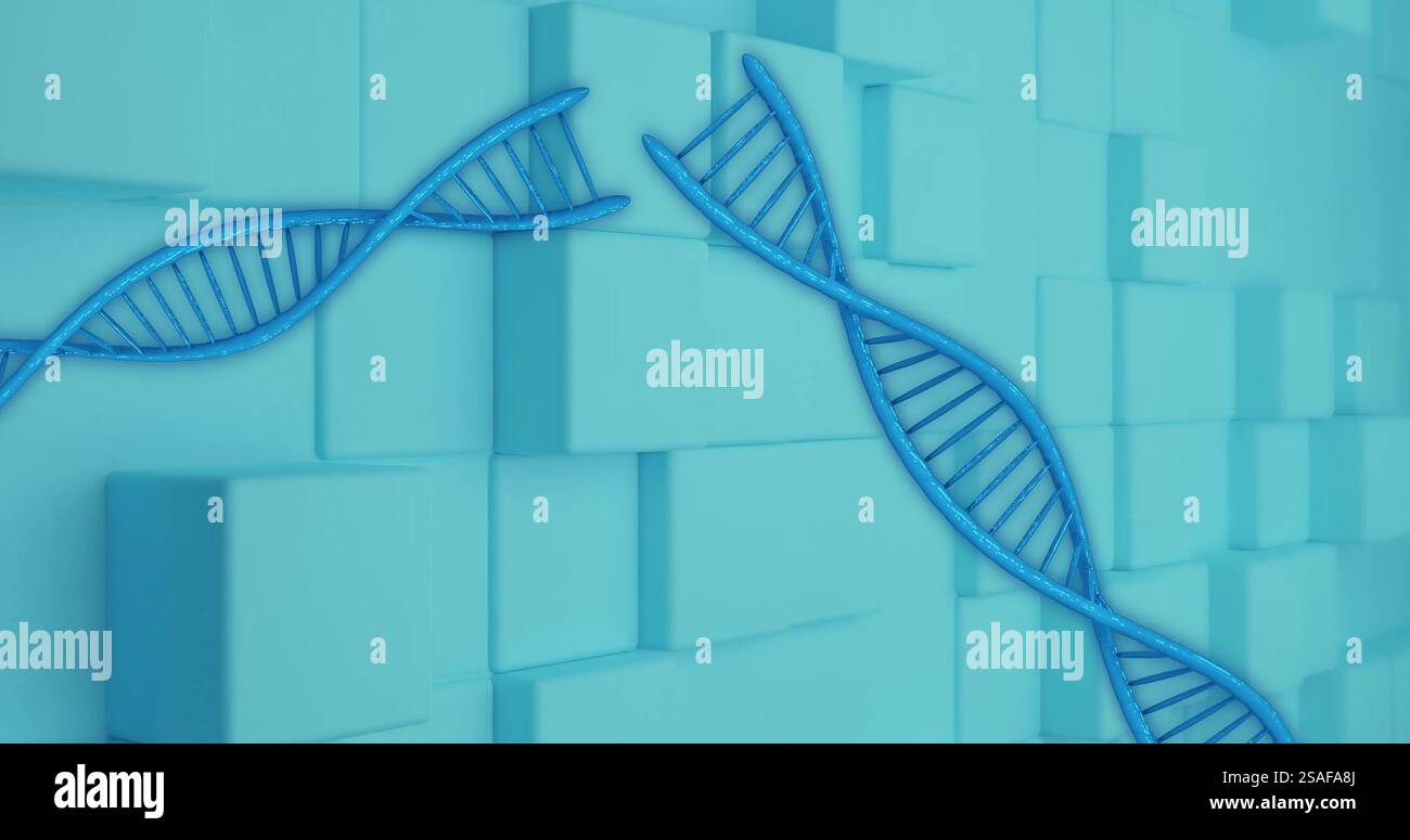 Image of dna strands over white shapes moving Stock Photo - Alamy