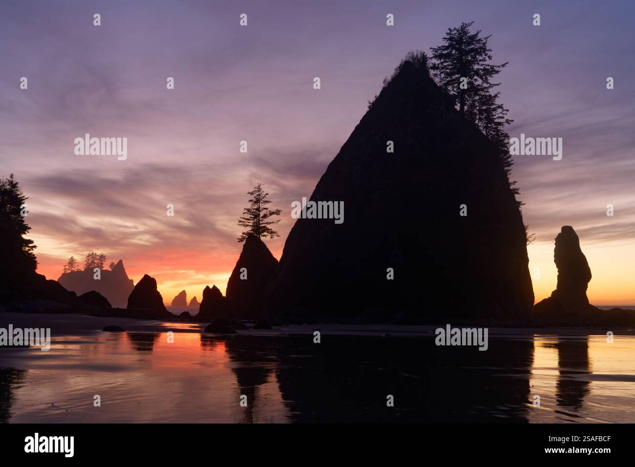 Sun setting on Shi Shi Beach and Point of Arches sea stacks, Shi Shi ...