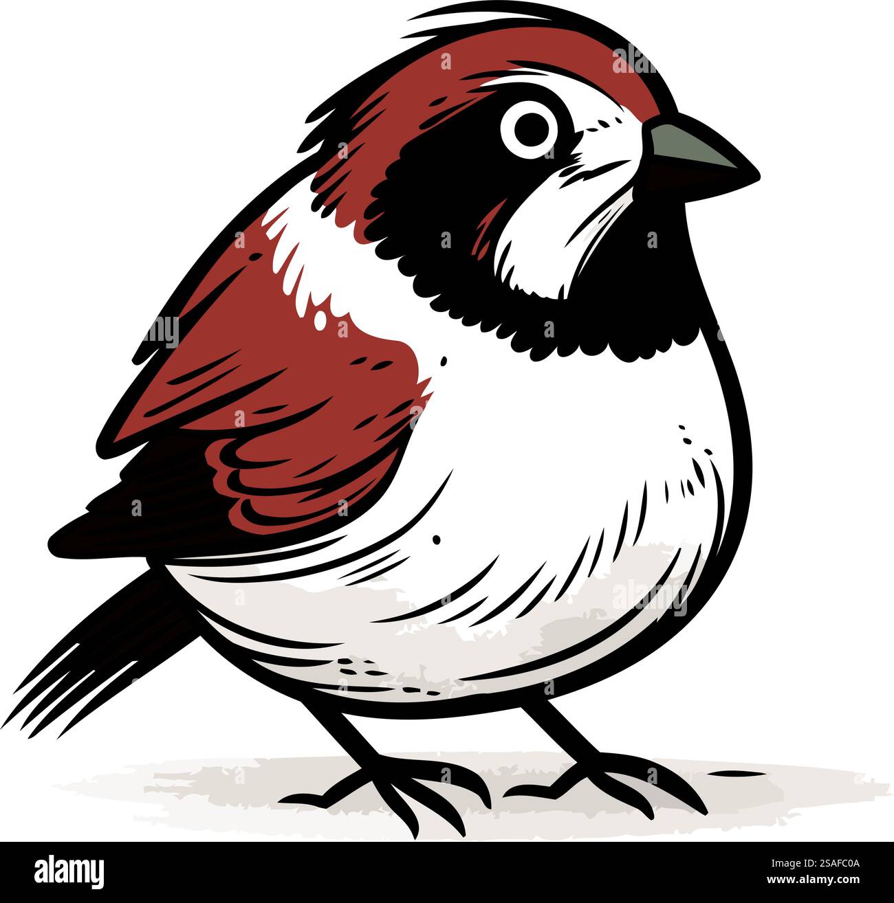 Sparrow. Hand drawn vector illustration. Isolated on white background ...