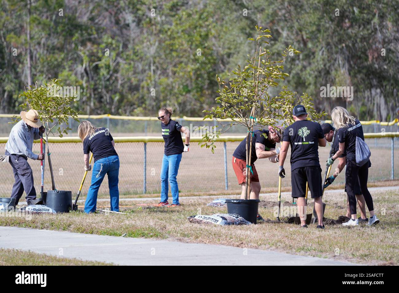 Volunteers plant trees at Eagles Nest Park community center during a ...