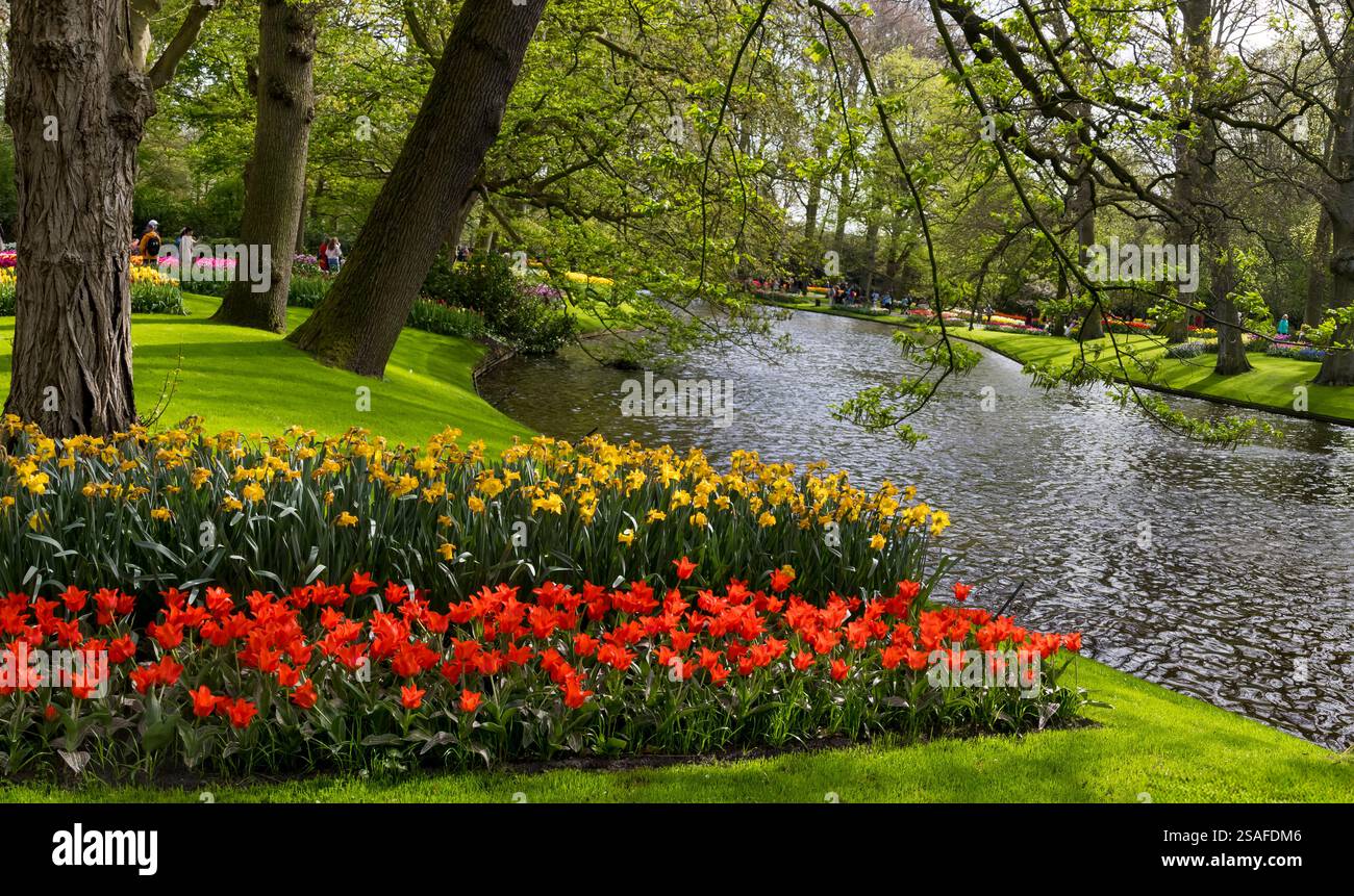 Scenic Keukenhof gardens in Lisse, Netherlands bright flower display along the canal in the ...