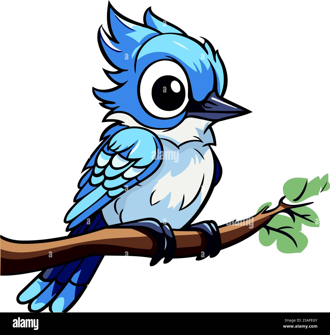 Blue jay bird on a branch. Vector illustration isolated on white ...